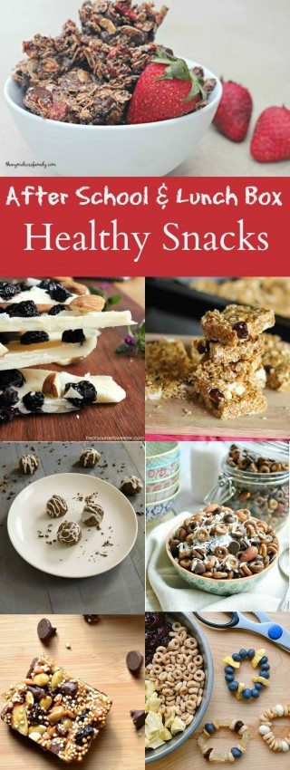 After School & Lunch Box Healthy Snacks