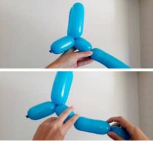 How To Make Balloon Animals, Balloon Swords & Balloon Flowers - The ...