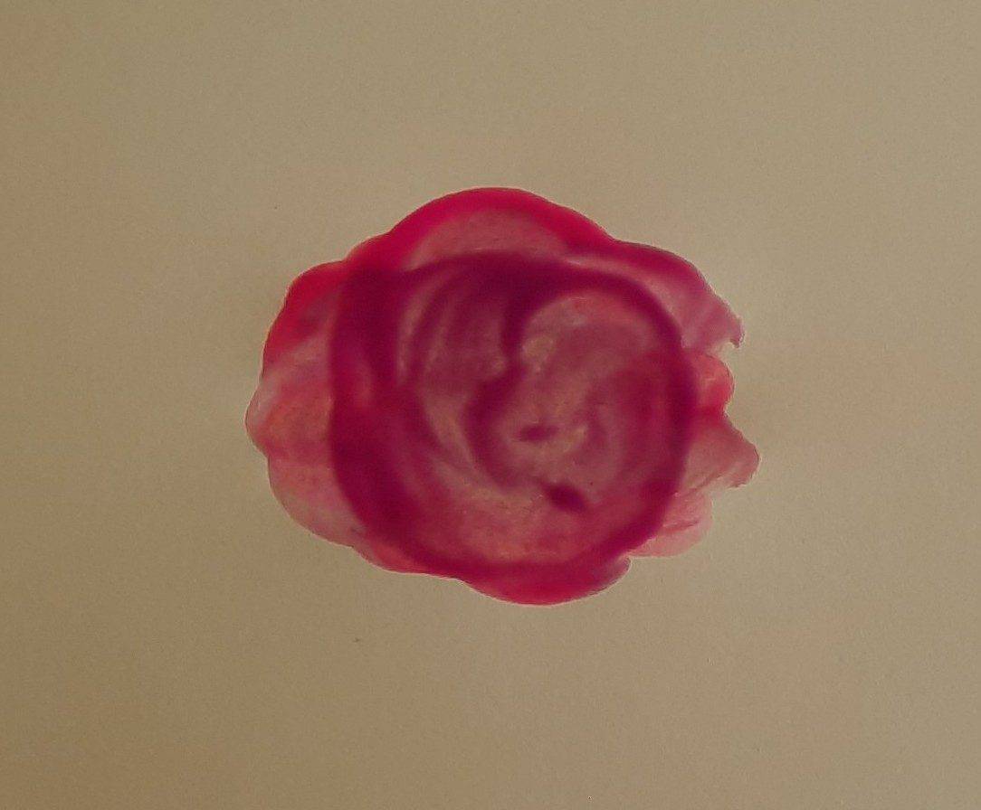 Fingerprint Flowers - The Melrose Family