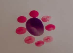 Fingerprint Flowers - The Melrose Family