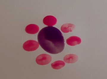 Fingerprint Flowers - The Melrose Family