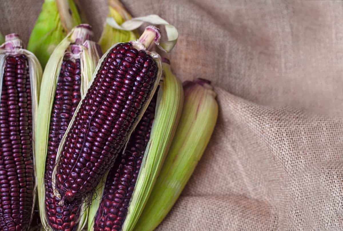 24 Purple Foods You’ll Love Eating