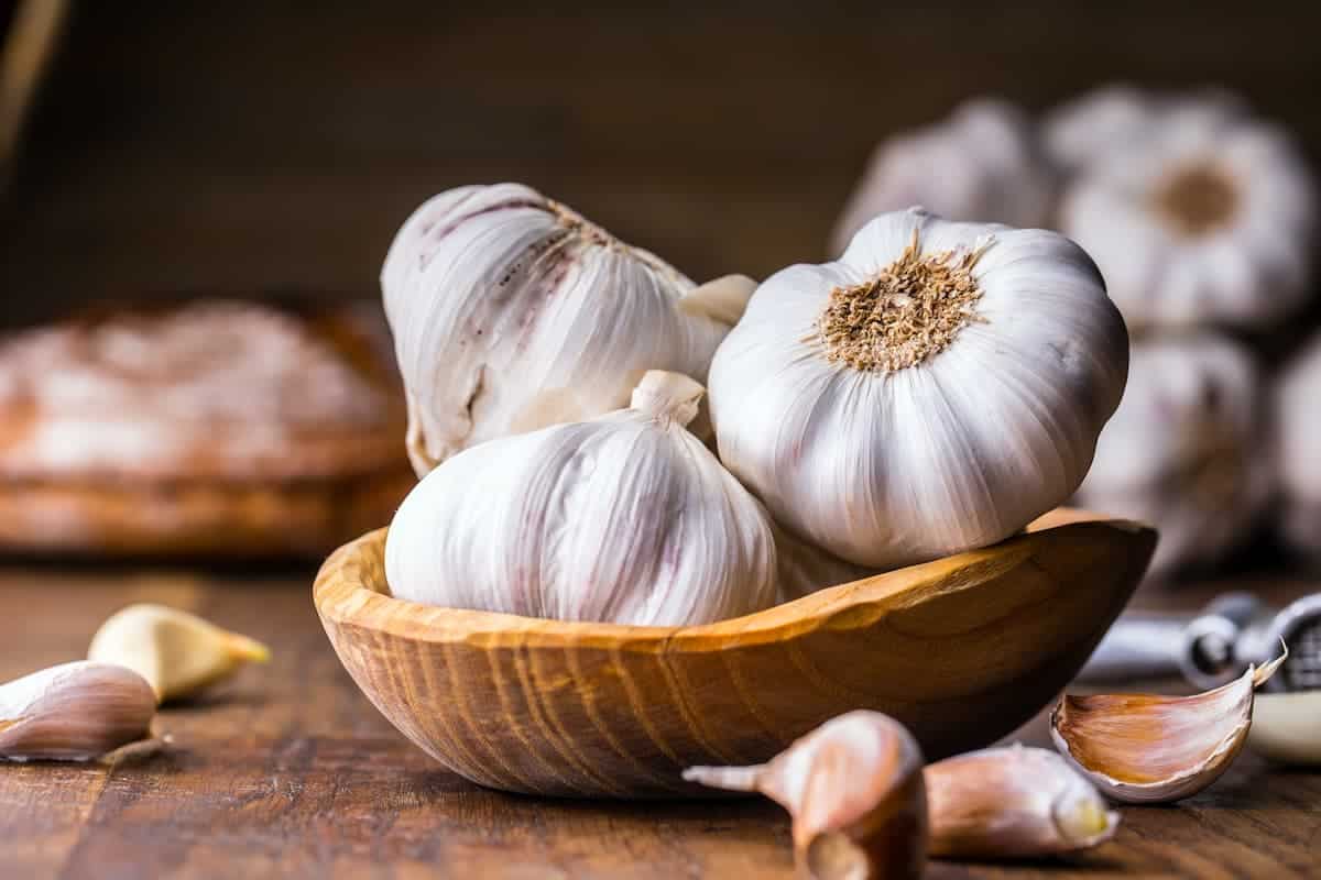 13 Best Red Onion Substitutes + Tips for Use - The Melrose Family