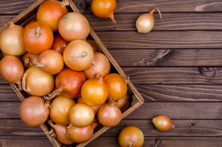 13 Best Red Onion Substitutes + Tips for Use - The Melrose Family