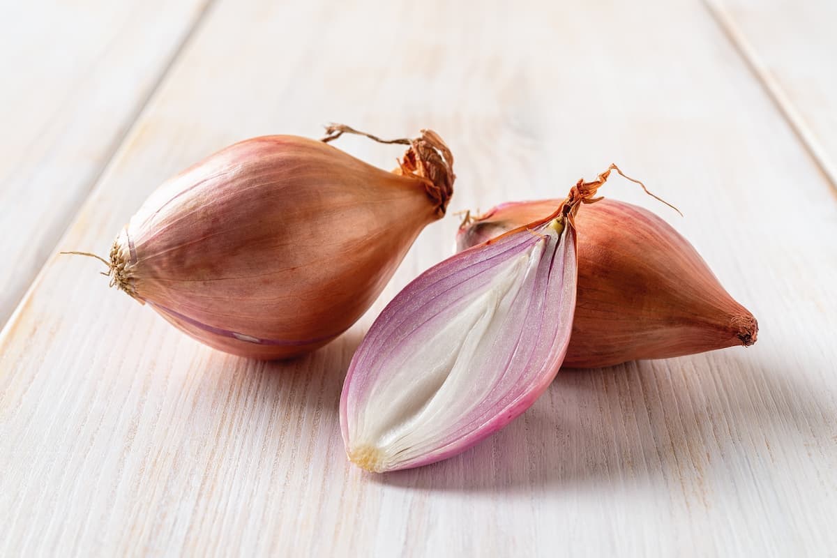 13 Best Red Onion Substitutes + Tips for Use - The Melrose Family