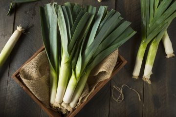 13 Best Red Onion Substitutes + Tips for Use - The Melrose Family