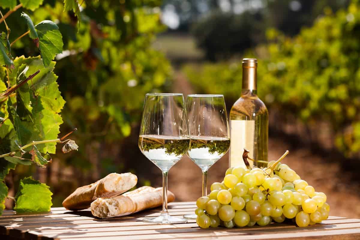 Ditch The Grape The Ultimate Guide To Delicious Wine Substitutes For Drinkingfeed