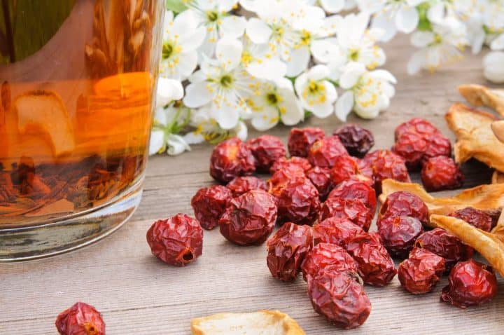 Rowanberries 101: Characteristics, Recipes, Foraging + More! - The ...