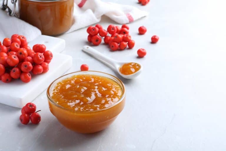 Rowanberries 101: Characteristics, Recipes, Foraging + More! - The ...