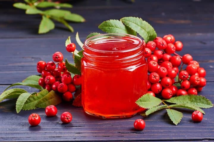 Rowanberries 101: Characteristics, Recipes, Foraging + More! - The ...